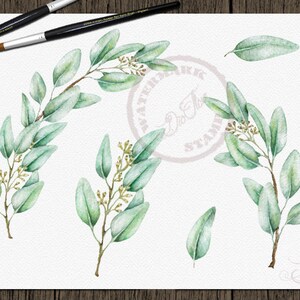 Eucalyptus Greenery Watercolor Clipart Seeded Eucalyptus Clip Art Aqua ...