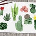 Cactus Clipart Succulent Fox Clipart Cacti Clip Art Fennec Fox Desert ...
