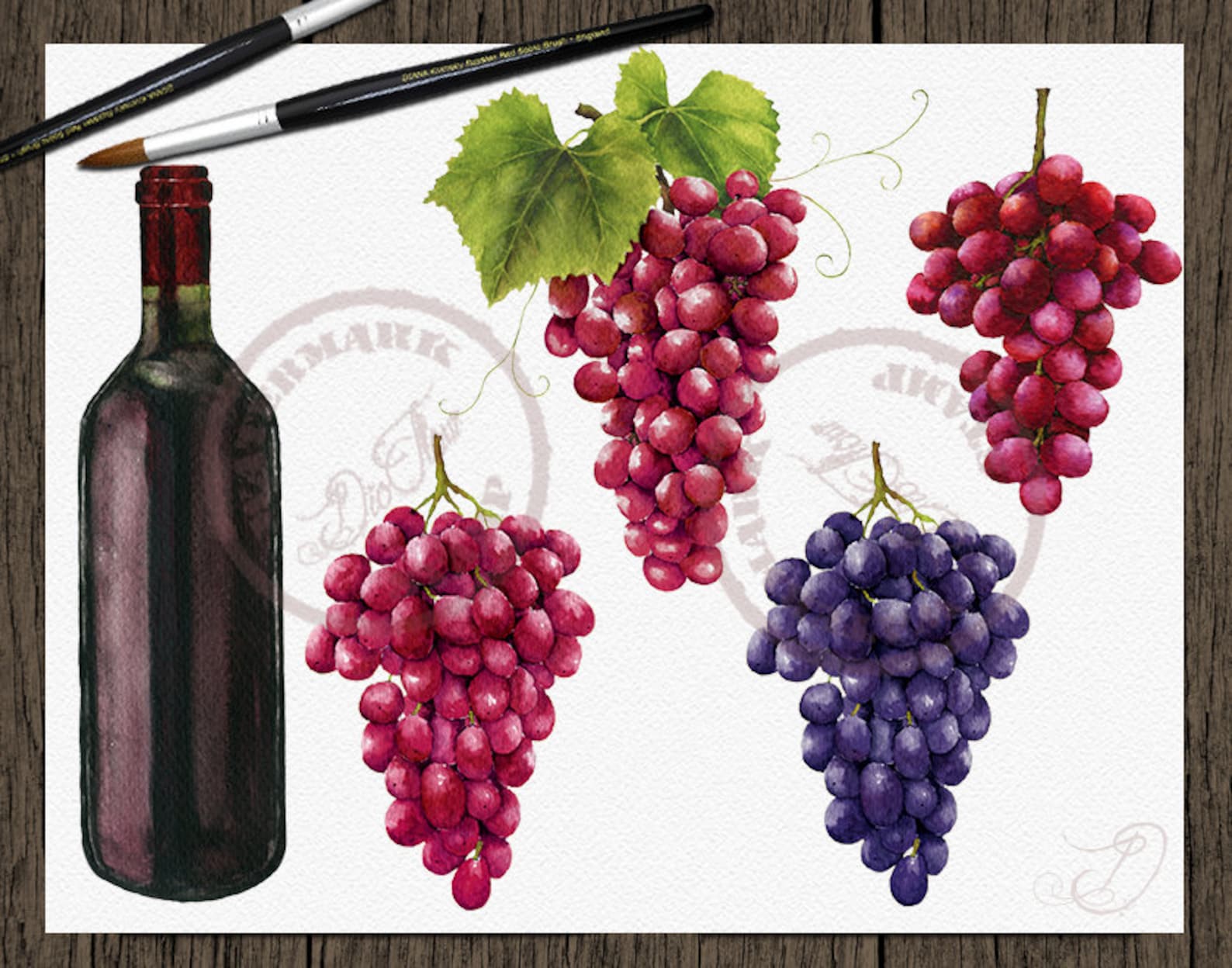 Grapes Clipart Watercolor Grape Wine Clip Art Greenery Vines - Etsy