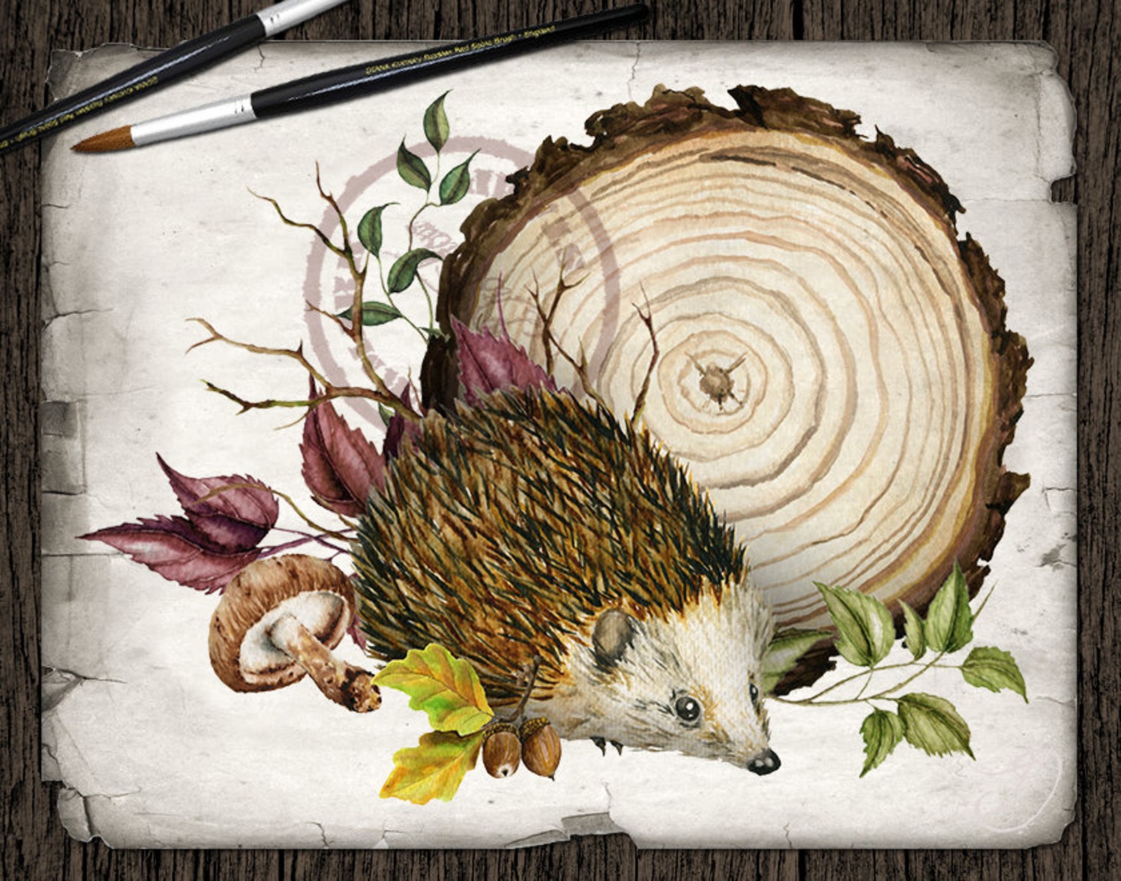 Watercolor Hedgehog Clipart Fall Autumn Clip Art Leaves Illustration ...