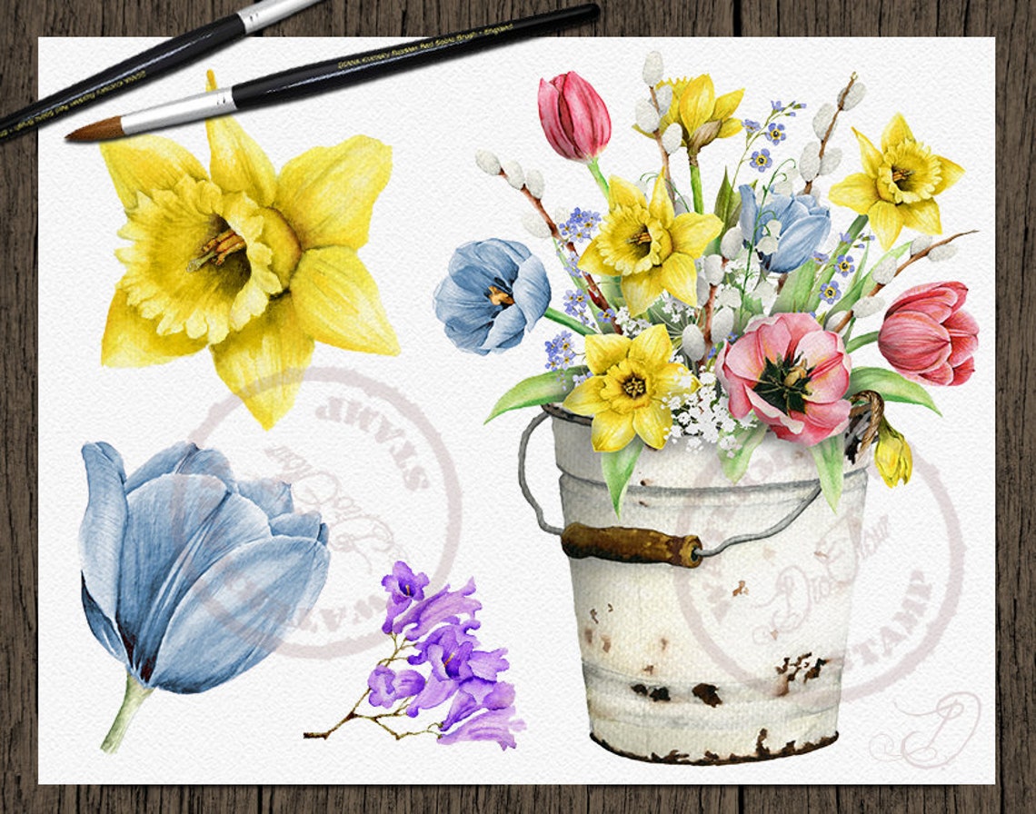 Watercolor Spring Flowers Clipart Daffodil Clip Art Tulip | Etsy