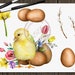 Watercolor Easter Chick Clipart Chicken Flowers Clip Art Spring Baby ...