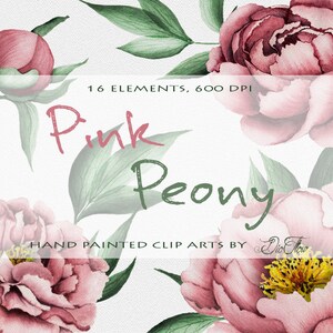 Watercolor Peony Clipart Pink Peonies Flower Clip Art Leaf Leaves ...