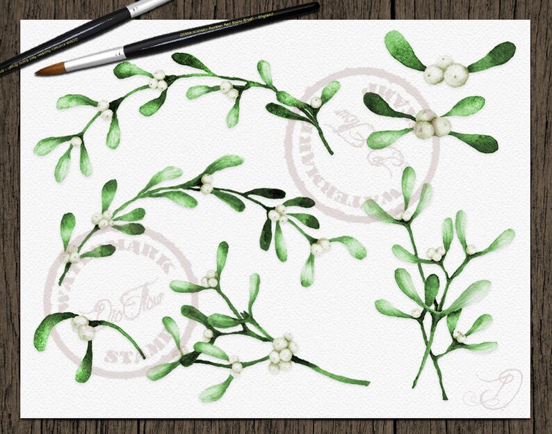 Watercolor mistletoe clipart winter clip art christmas flowers | Etsy