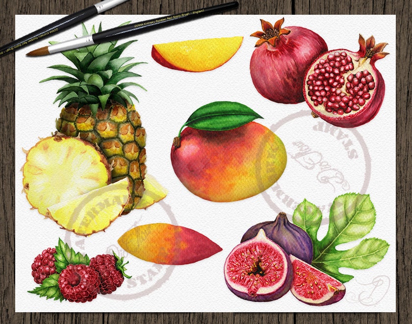 Watercolor Fruits Clipart Fruit Clip Art Fruity Illustration - Etsy