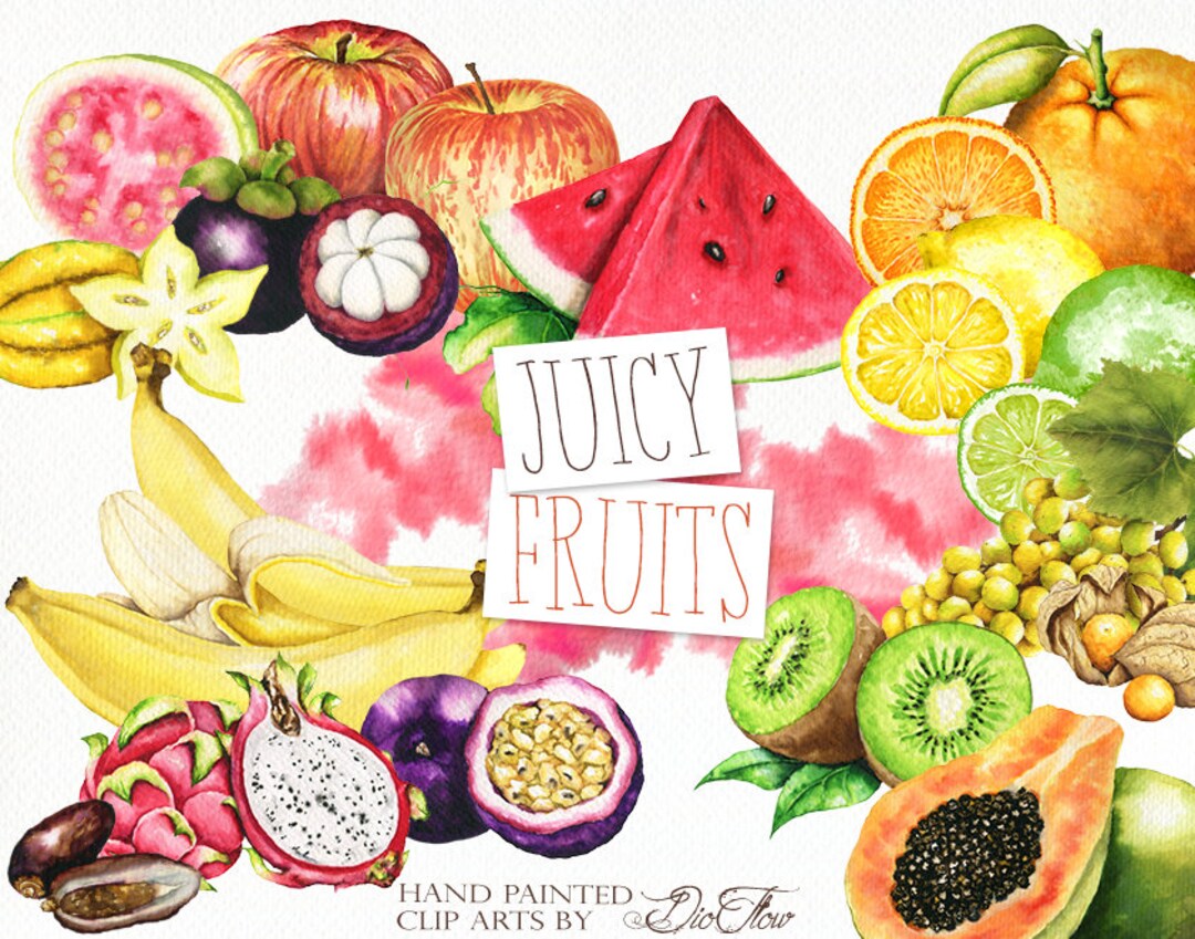 Watercolor Fruits Clipart Exotic Fruit Clip Art Fruity - Etsy
