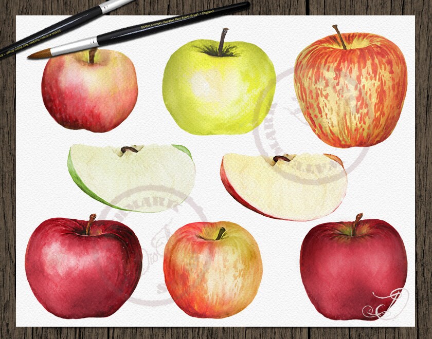 Watercolor Apples Clipart Apple Clip Art Fruits Illustration Decor ...