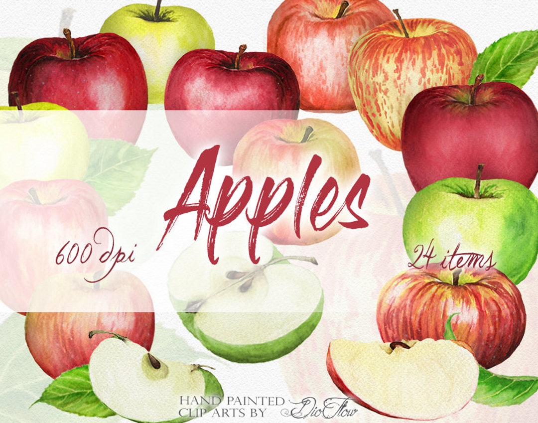 Watercolor Apples Clipart Apple Clip Art Fruits Illustration Decor ...