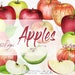 Watercolor Apples Clipart Apple Clip Art Fruits Illustration Decor ...