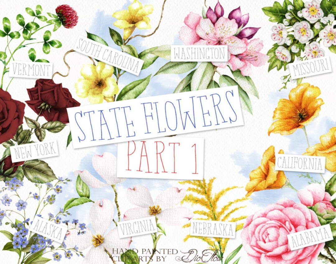 American Watercolor State Flowers Clipart United States America Clip ...