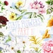 American Watercolor State Flowers Clipart United States America Clip ...