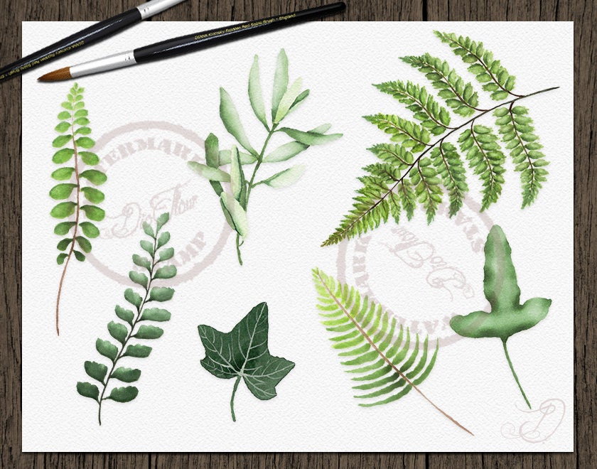 Watercolor Greenery Clipart Leaf Clipart Eucalyptus Woodland Clip Art ...
