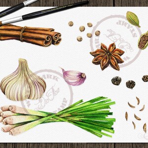 Watercolor Herbs Spices Clipart Clip Art Condiment Herb Spice ...