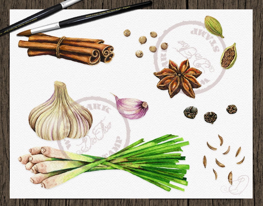 Watercolor Herbs Spices Clipart Clip Art Condiment Herb Spice | Etsy