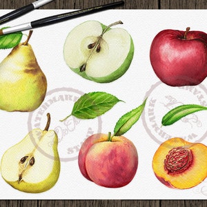 Watercolor Fruits Clipart Fruit Clip Art Fruity Illustration Decor ...