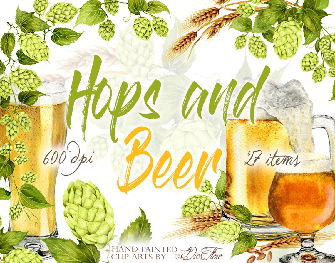 Watercolor Hops Beer Clipart Hops Vines Barley Clip Art Drink ...