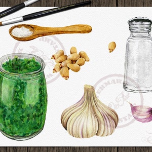 Watercolor Pesto Clipart Clip Art Basil Pine Nut Parmesan Pesto ...