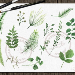 Watercolor Fern Clipart Greenery Clip Art Leaf Leaves Woodland Clipart ...
