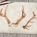 Antler Clipart Woodland Deer Watercolor Forest Handpainted Illustration ...