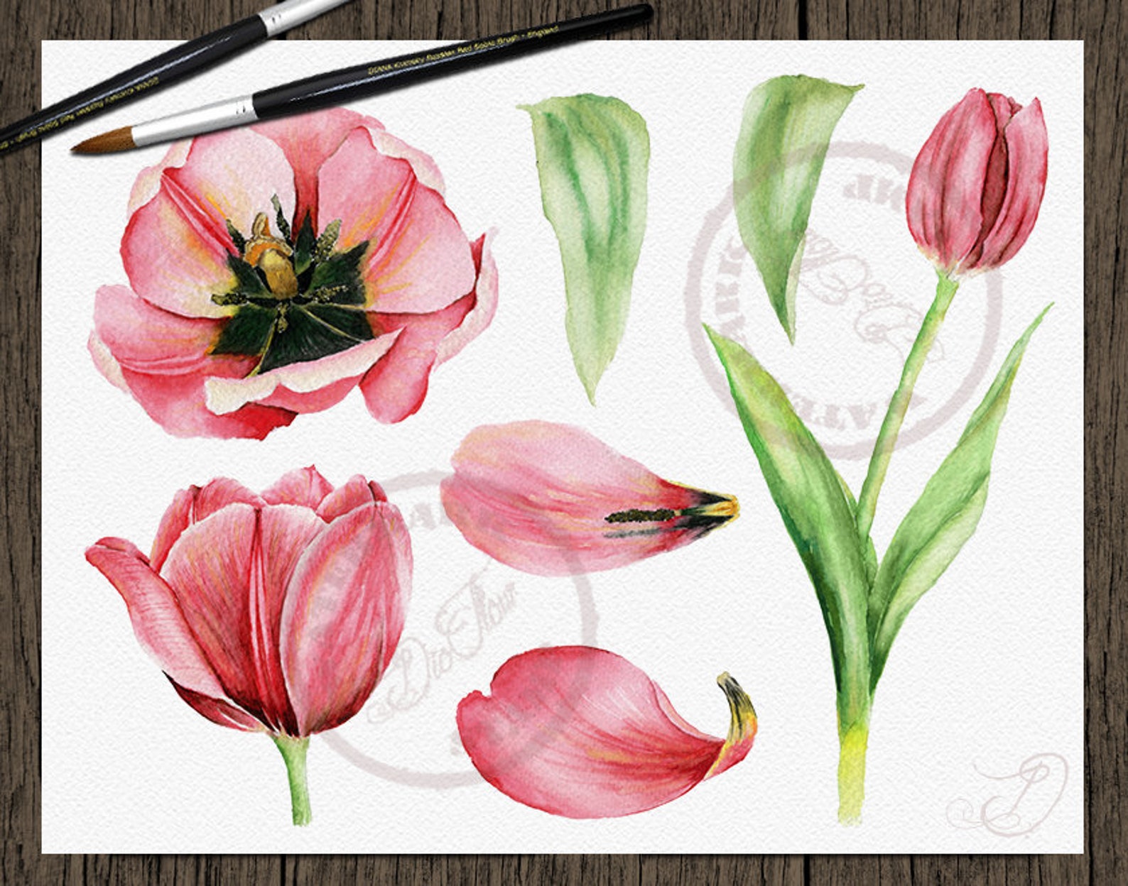 Watercolor Tulip Clipart Tulips Clip Art Rustic Mason Jar - Etsy