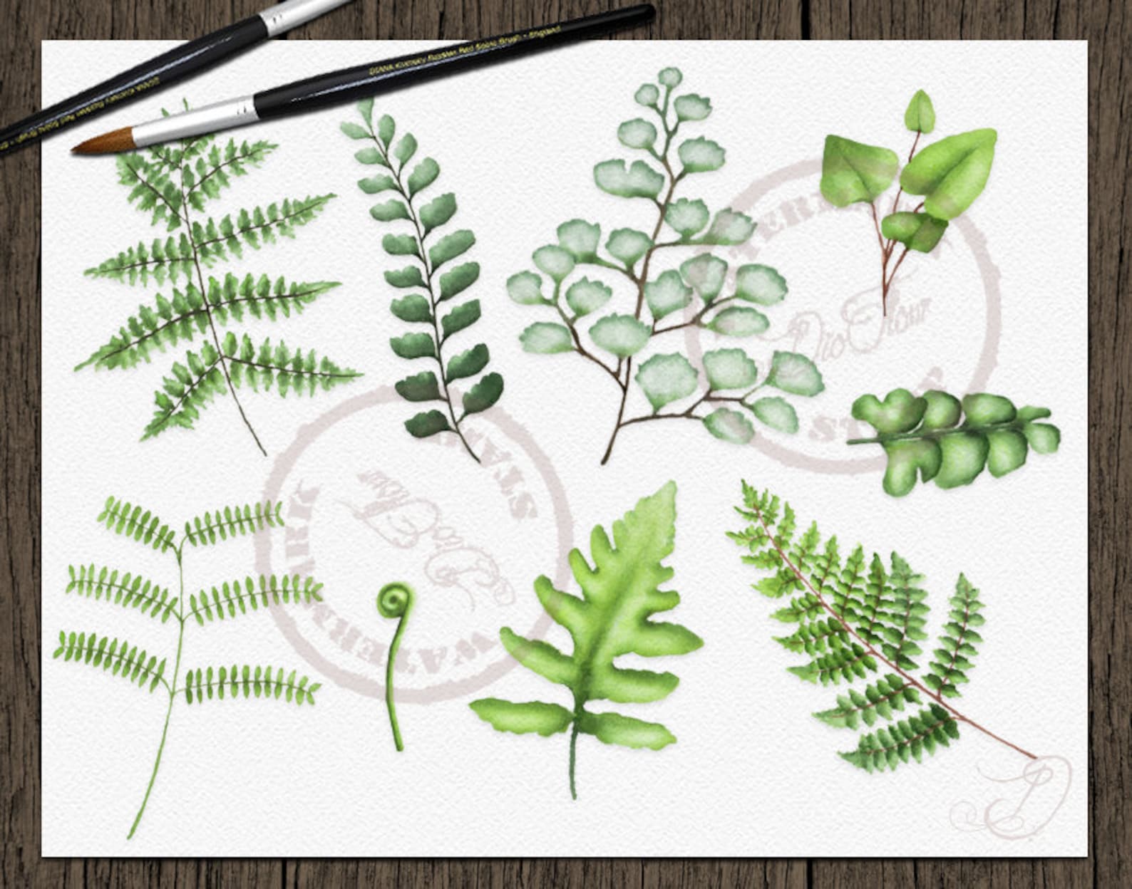 Watercolor Fern Clipart Greenery Clip Art Leaf Leaves Woodland | Etsy