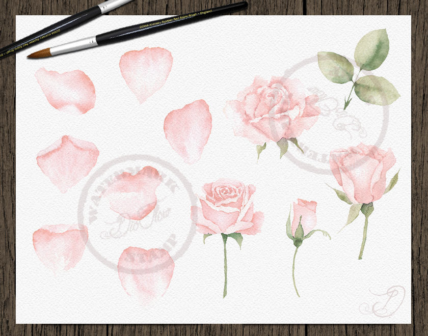 Watercolor Pink Rose Clipart Roses Petals Clip Art English - Etsy