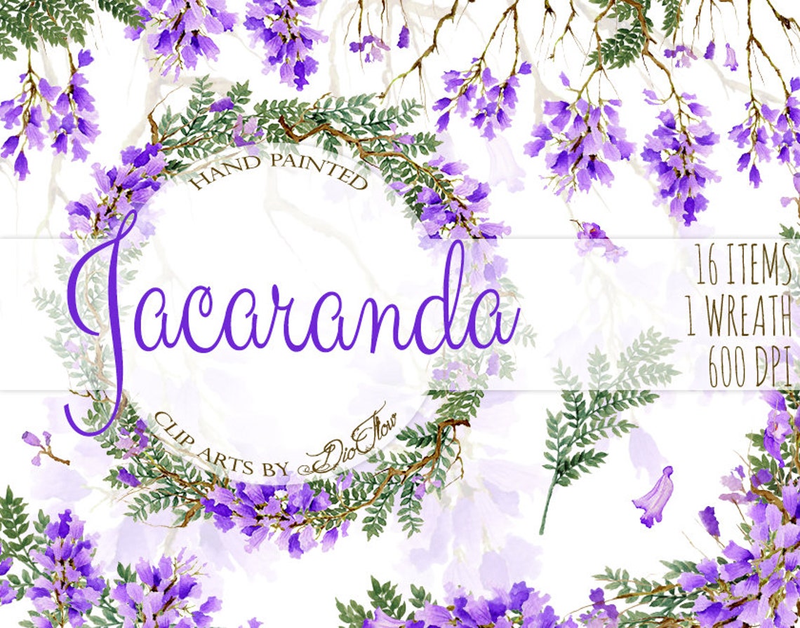 Jacaranda Watercolor Clipart Purple Flowers Clip Art Lilac | Etsy