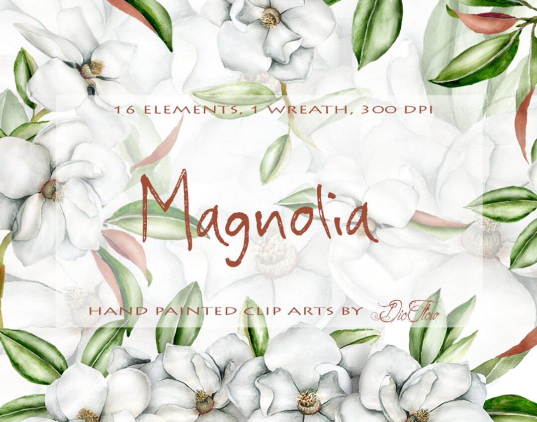 Watercolor Magnolia Flowers Leaves White Green Greenery Clipart ...