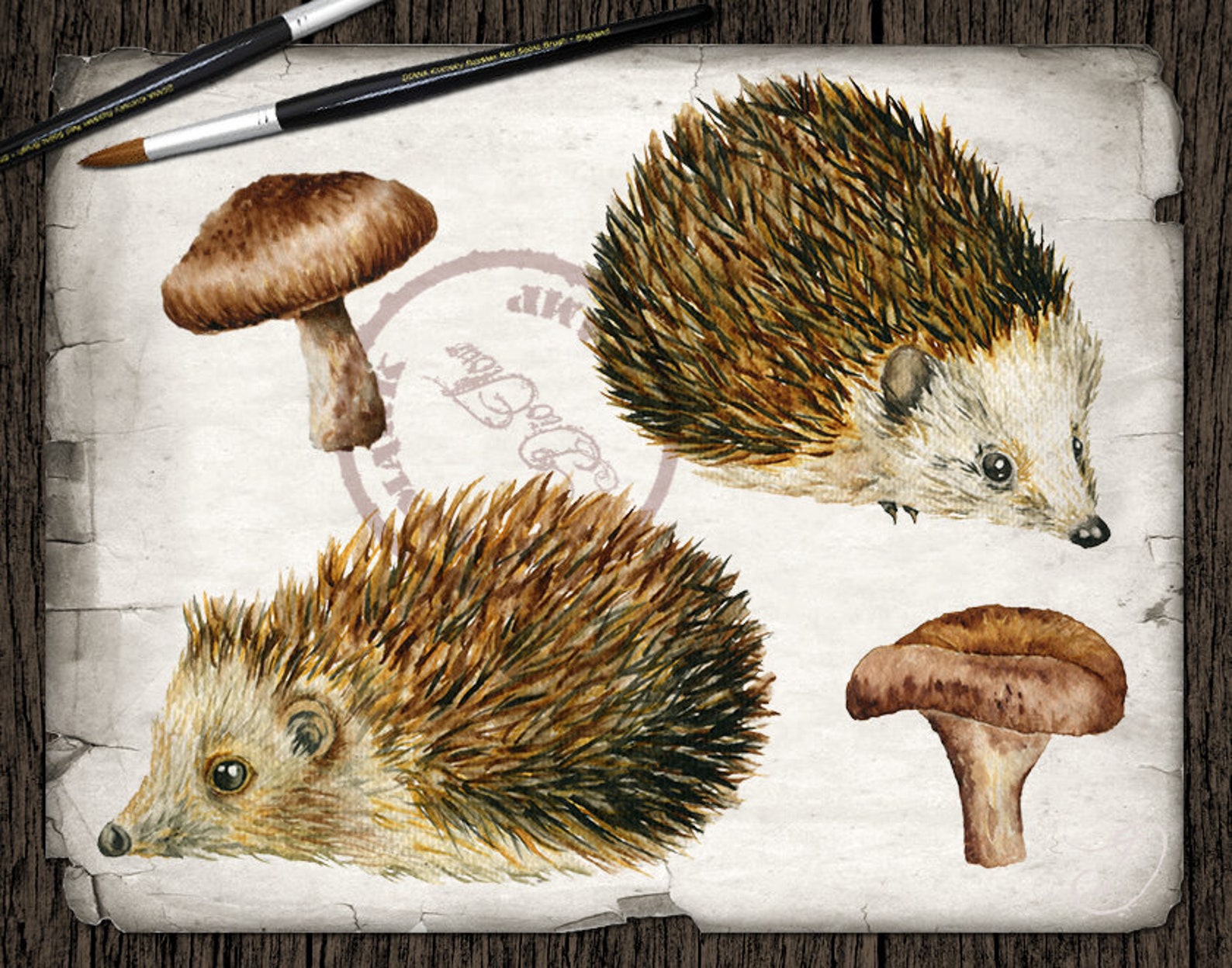 Watercolor Hedgehog Clipart Fall Autumn Clip Art Leaves Illustration ...