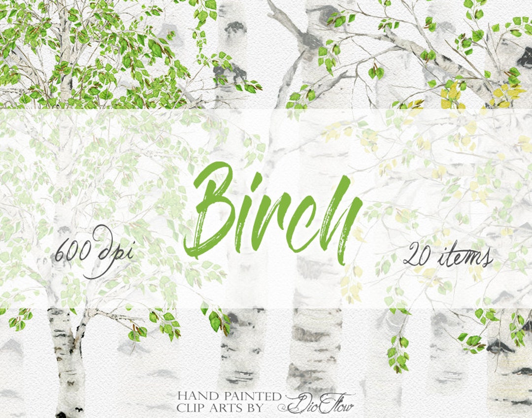 Watercolor Birch Tree Clipart Leaves Greenery Foliage Clip Art Green ...