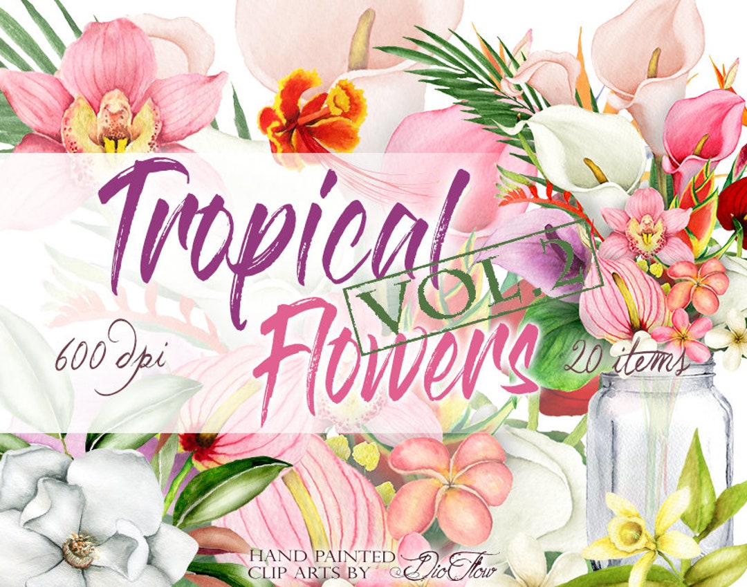 Watercolor Tropical Flowers Clipart Tropic Clip Orchid Calla Flowers ...