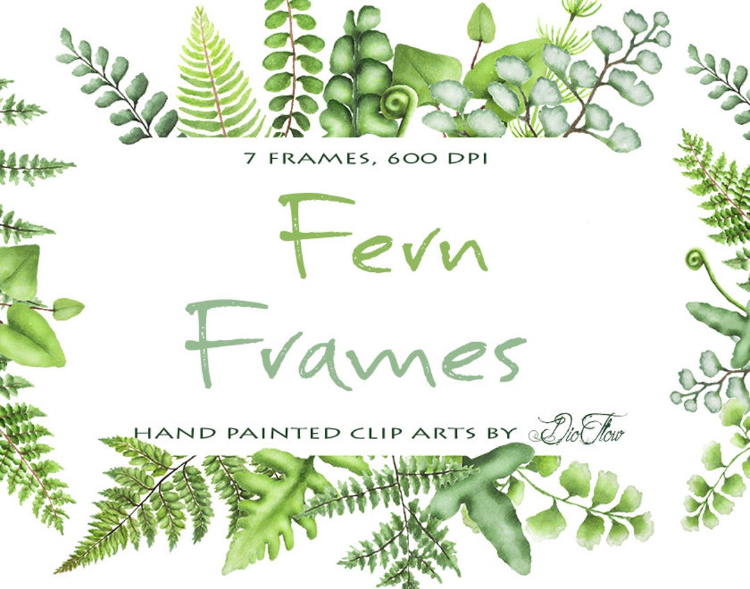 Watercolor Fern Clipart Greenery Frames Clip Art Ferns Leaf Leaves ...