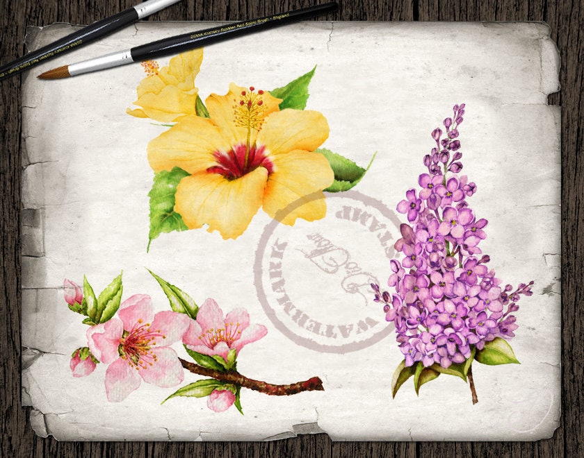 Watercolor State Flowers Clipart United States America Clip - Etsy