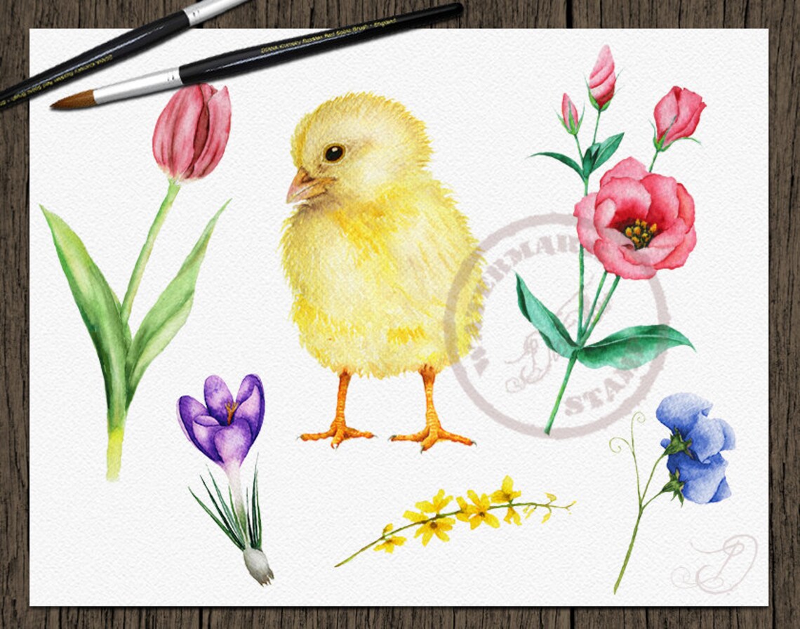 Watercolor Easter Chick Clipart Chicken Flowers Clip Art | Etsy