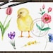 Watercolor Easter Chick Clipart Chicken Flowers Clip Art Spring Baby ...