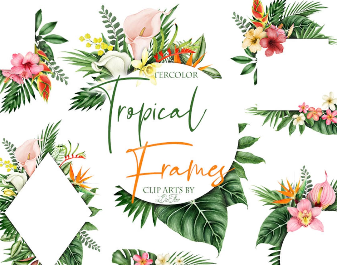Watercolor Tropical Frames Flowers Leaves Clipart Clip Orchid Flowers ...