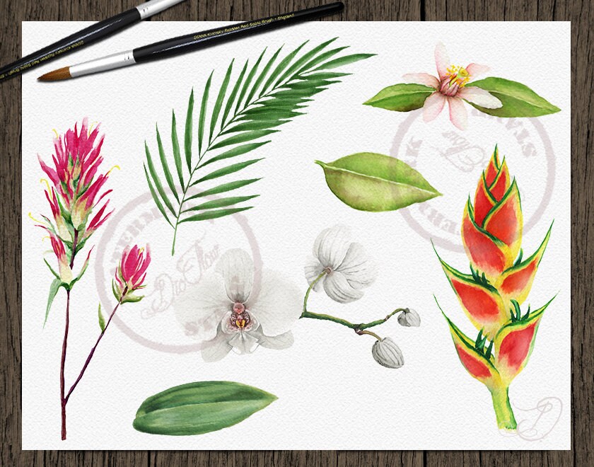 Watercolor Tropical Flowers Clipart Tropic Clip Art Hibiscus | Etsy