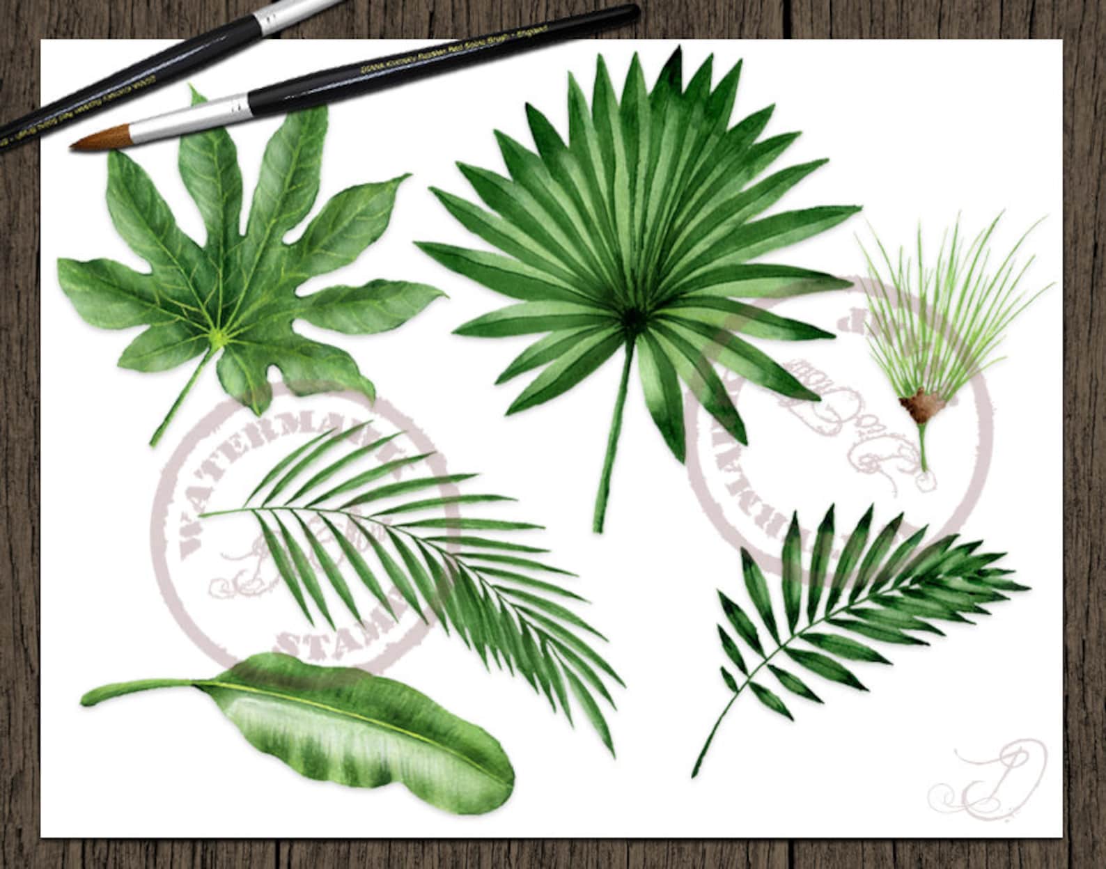 Watercolor Tropical Leaves Clipart Palm Leaf Greenery Clip Art - Etsy