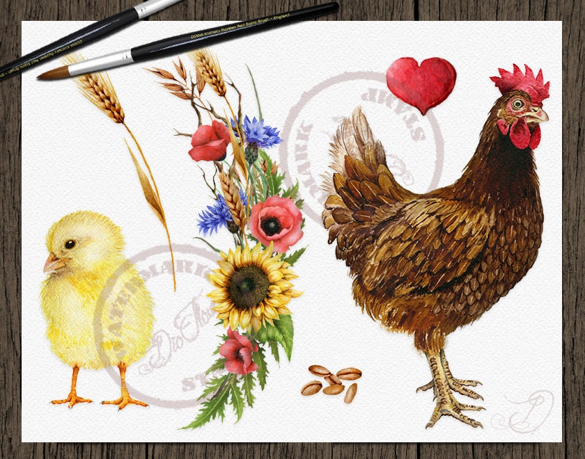 Watercolor Hen Chick Clipart Farm Chicken Coop Flowers Clip | Etsy