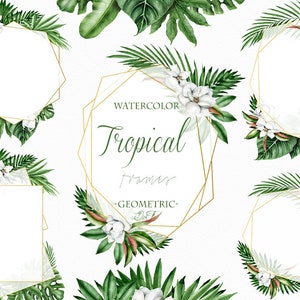 Watercolor Tropical Greenery Geometric Clipart Frame White Green Frames ...
