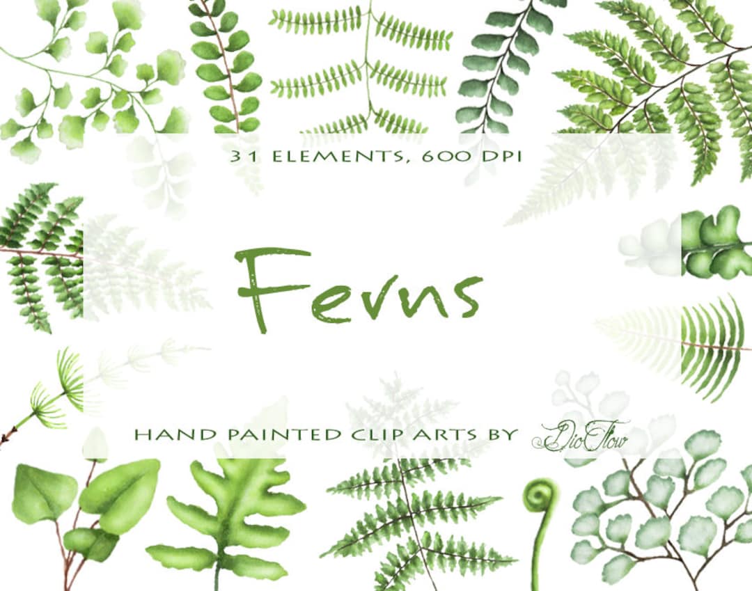 Watercolor Fern Clipart Greenery Clip Art Leaf Leaves Woodland Clipart ...
