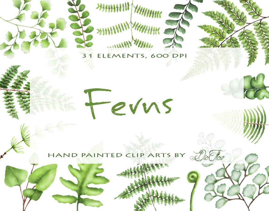 Watercolor Fern Clipart Greenery Clip Art Leaf Leaves Woodland | Etsy