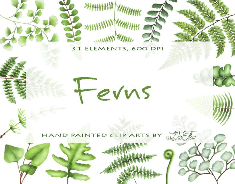 Watercolor Fern Clipart Greenery Clip Art Leaf Leaves Woodland Clipart ...