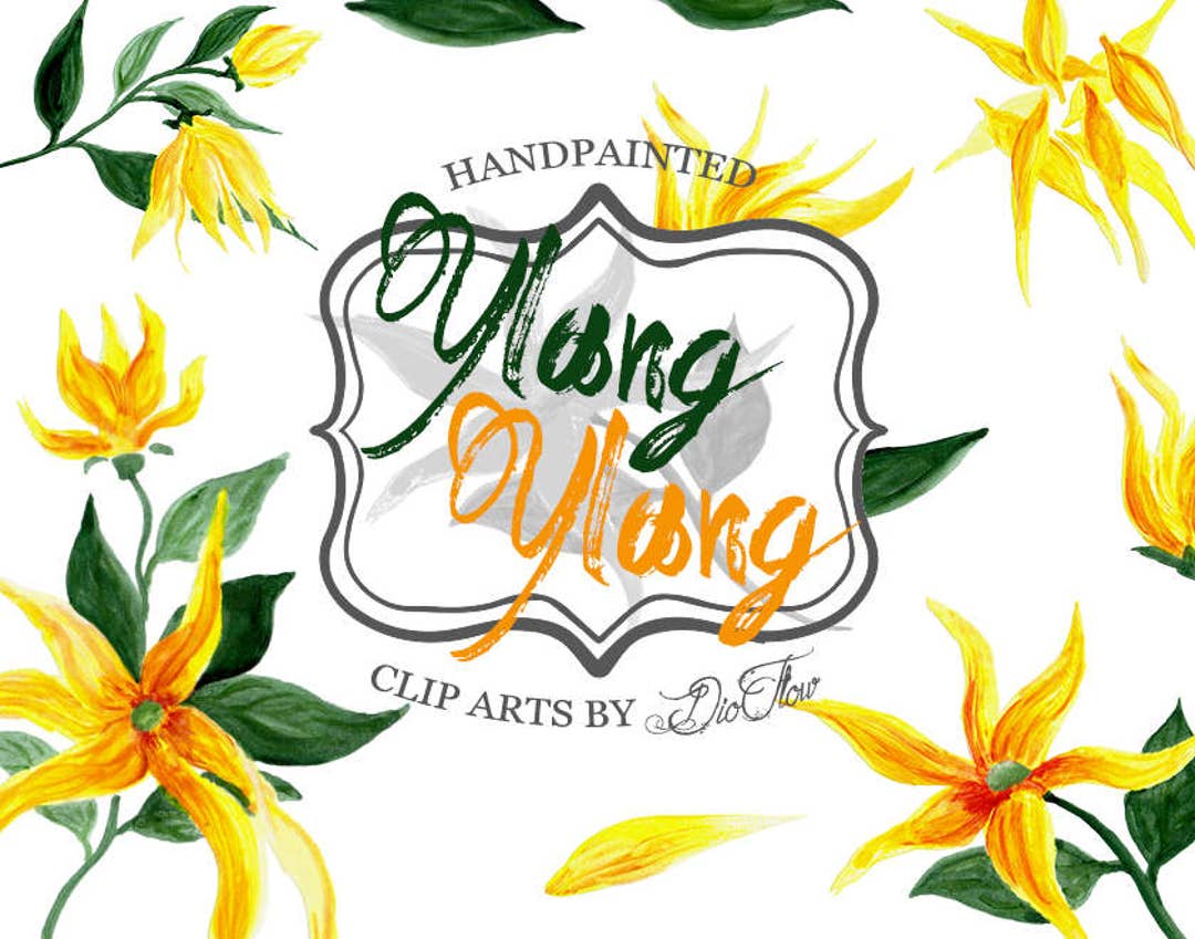 Watercolor Stylized Ylang Ylang Clipart Clip Art Flowers Ylang Yellow ...