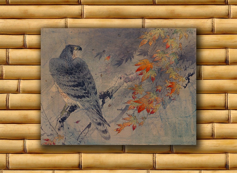 Hawk Print Asian Bird Wall Art Japanese Poster Art Decor Japan - Etsy