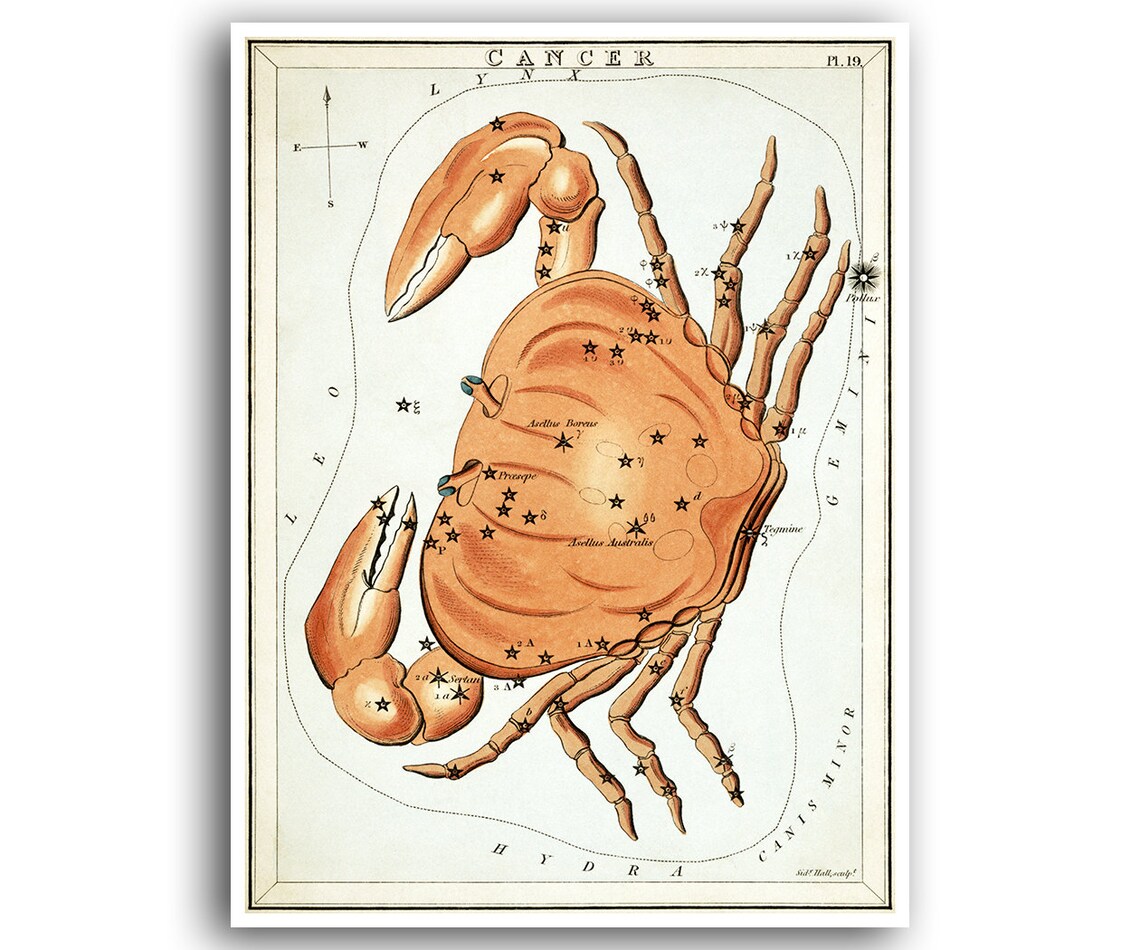 Cancer Star Sign Astrology Art Vintage Zodiac Print Horoscope Poster ...