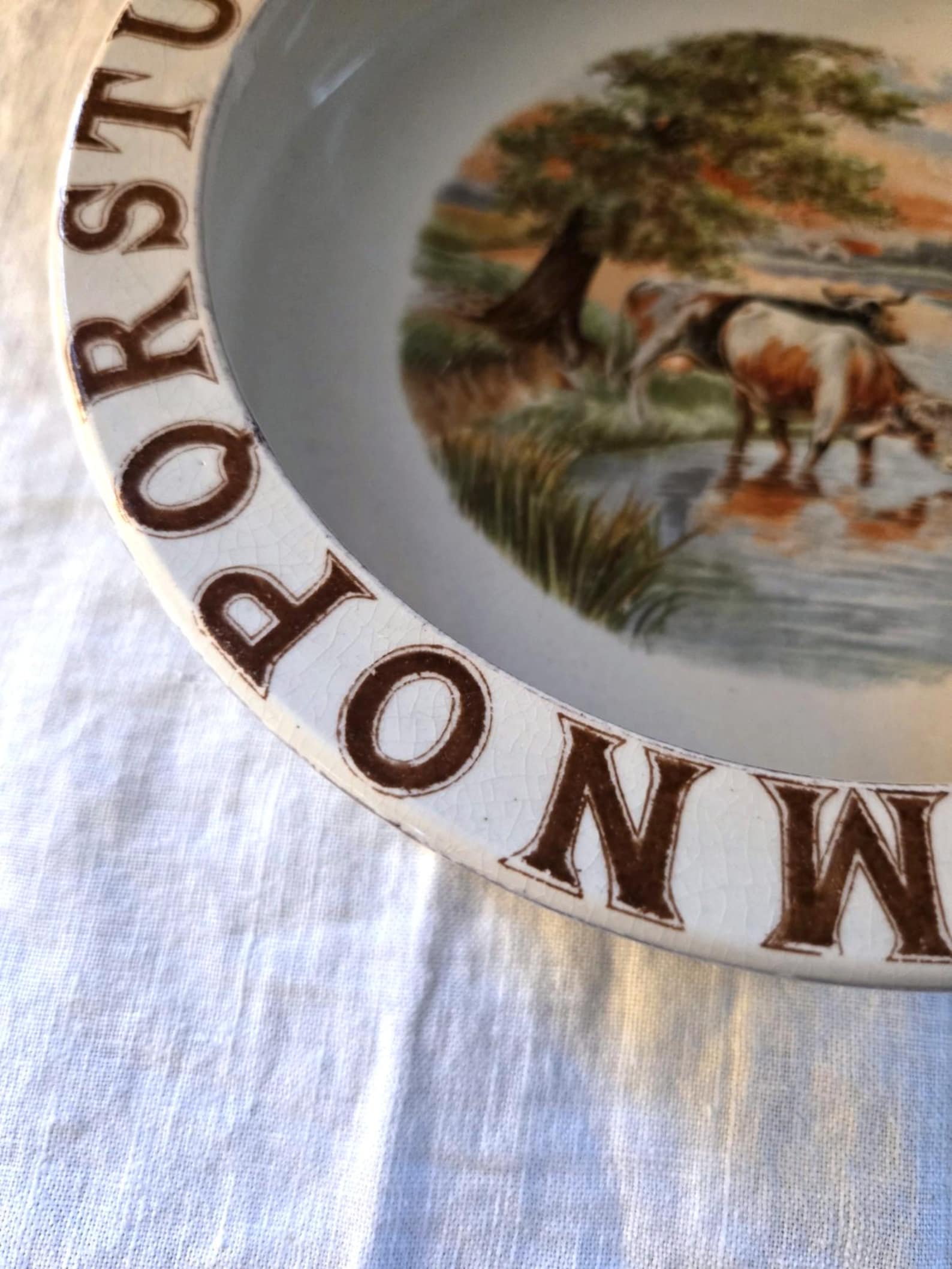 Victorian Alphabet Plate • Pastoral Scene • Nerlich & Co. Toronto ...