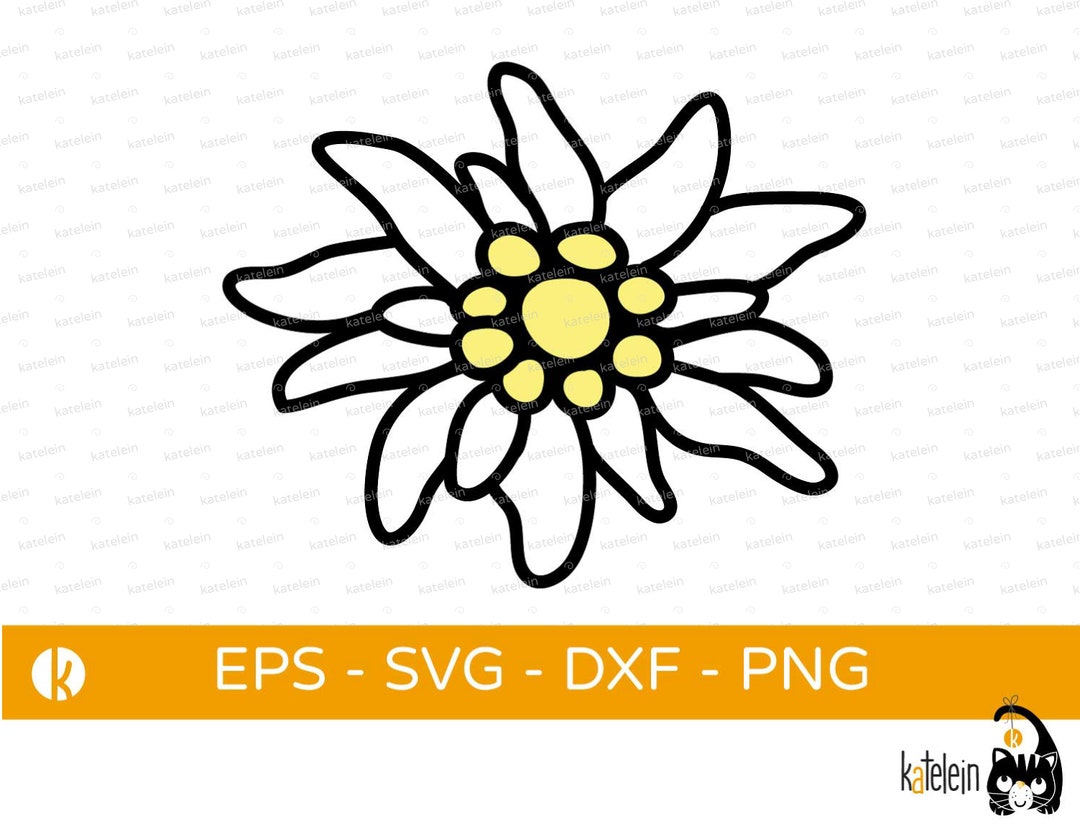 Edelweiss Flower Clipart Svg Dxf Eps Png File Plotter File Download ...