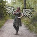 Epic Feathered Fantasy Style Wings Templates Collection by Pretzl ...