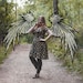 Epic Feathered Fantasy Style Wings Templates Collection by Pretzl ...